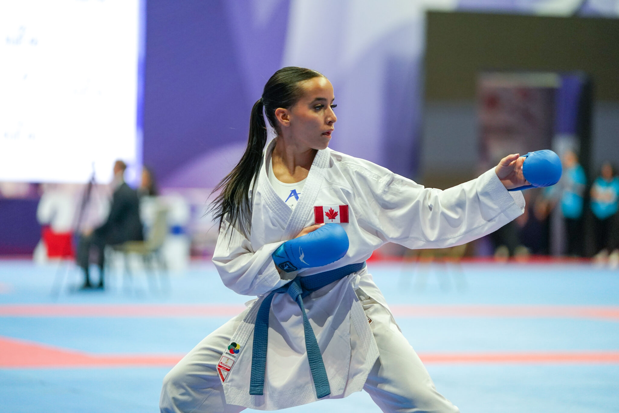 Karate Canada Celebrates Medal Winning 2023 - Karate Canada - Karate Canada